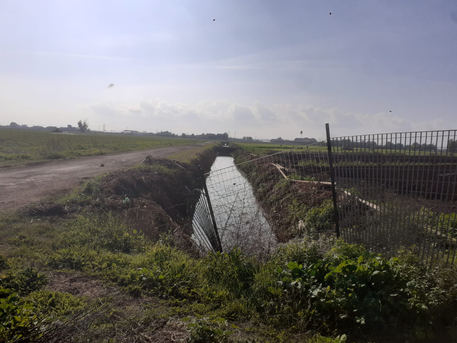 CBLSO - Consorzio Bonifica Lazio Sud Ovest